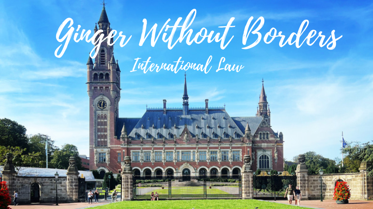 Unpacking the South Africa v. Israel Case, Part II – Ginger Without Borders